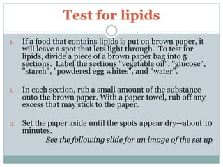 Macromolecules mystery lab day 1 | PPTX | Chemistry | Science