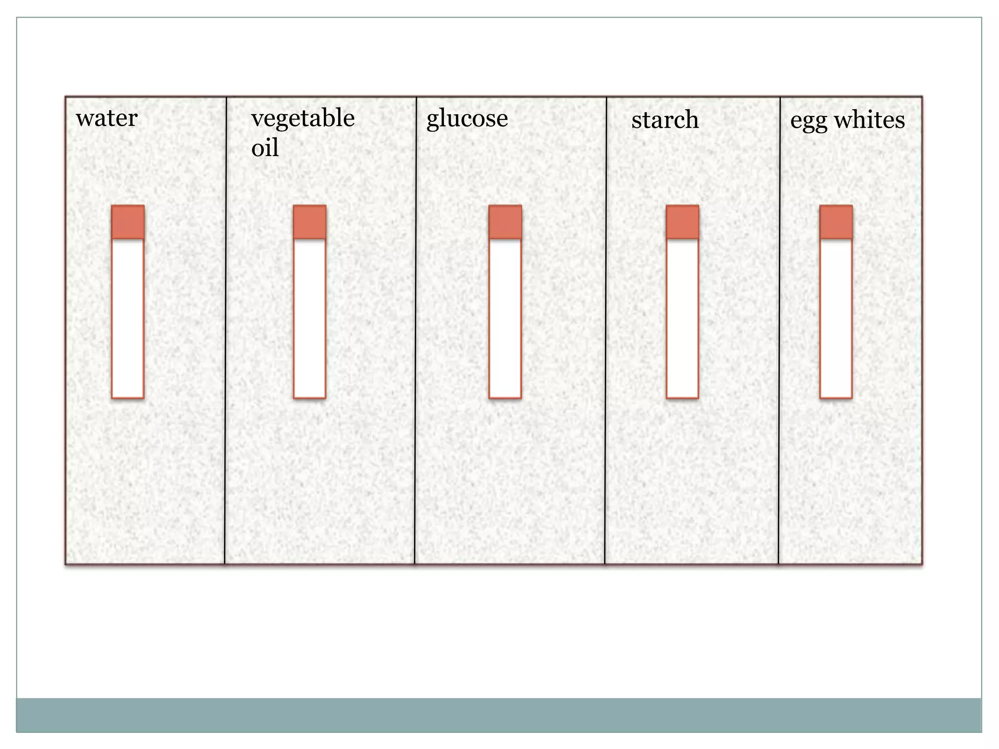 Macromolecules mystery lab directions day 1 | PPTX