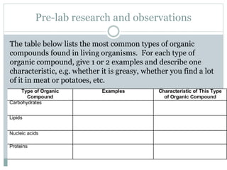 Macromolecules mystery lab directions day 1 | PPTX