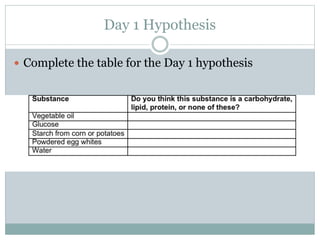 Macromolecules mystery lab directions day 1 | PPTX