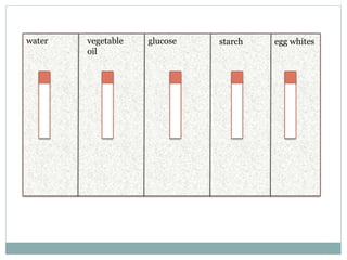Macromolecules mystery lab directions day 1 | PPTX
