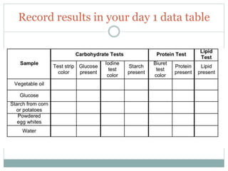 Macromolecules mystery lab directions day 1 | PPTX