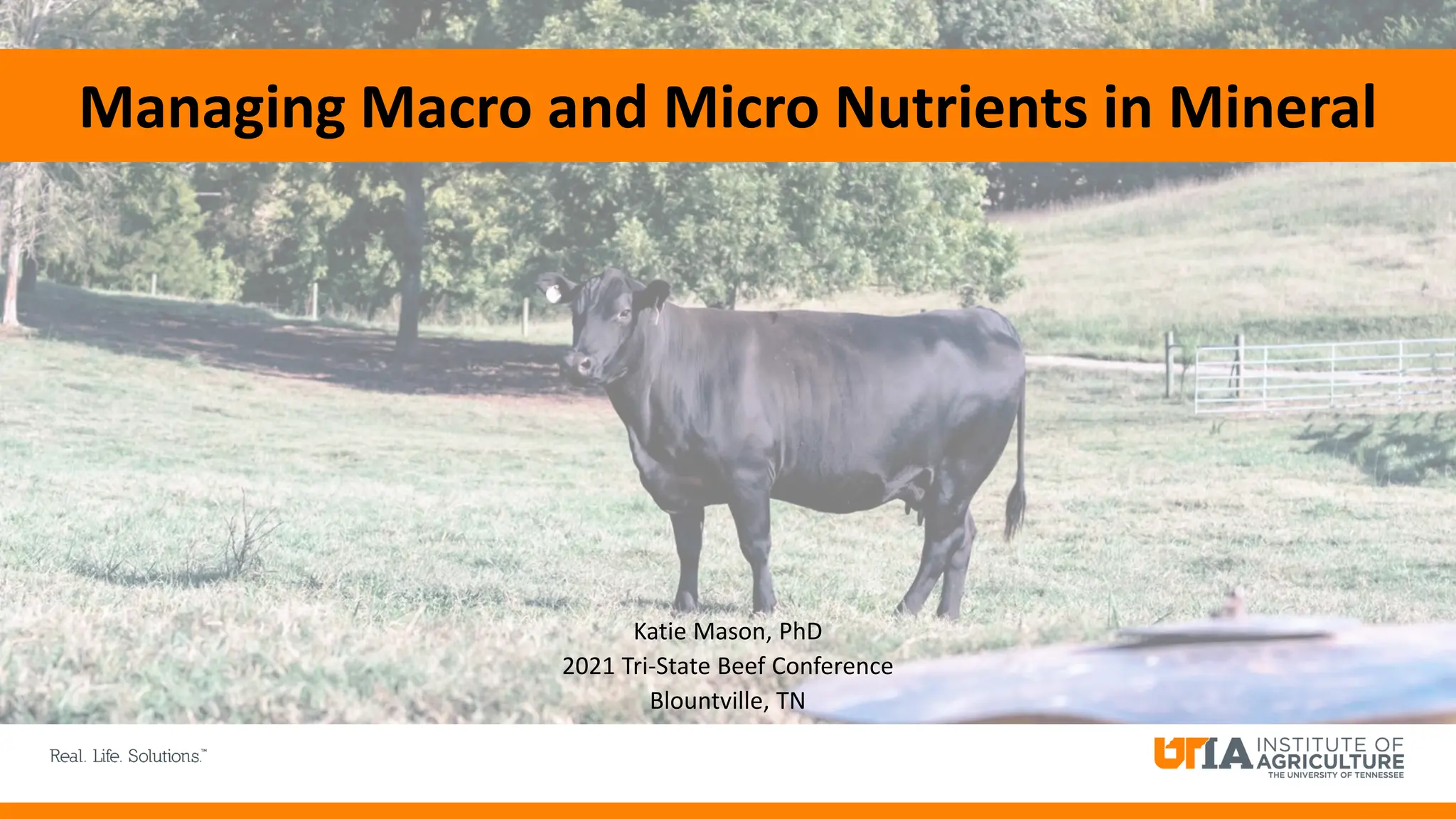 Macro-and-Micro-Minerals, chemistry of food nutrients | PDF