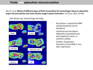 Monitoring macro and microcirculation (Joel Starkopf WSACS session ESA ...