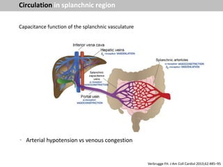 Monitoring macro and microcirculation (Joel Starkopf WSACS session ESA 2018 #EA18) | PPTX