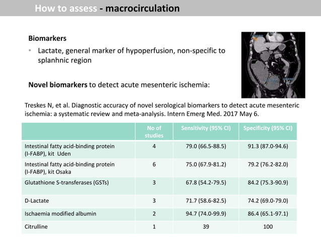 Monitoring macro and microcirculation (Joel Starkopf WSACS session ESA ...