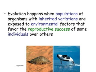 Macro evolution-natural-selection-speciation | PPT