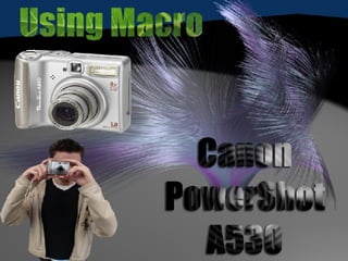 Macro Function | PPT