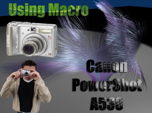 Macro Function | PPT