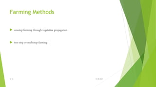 Macroalgae cultivation | PPTX