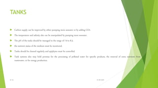 Macroalgae cultivation | PPTX