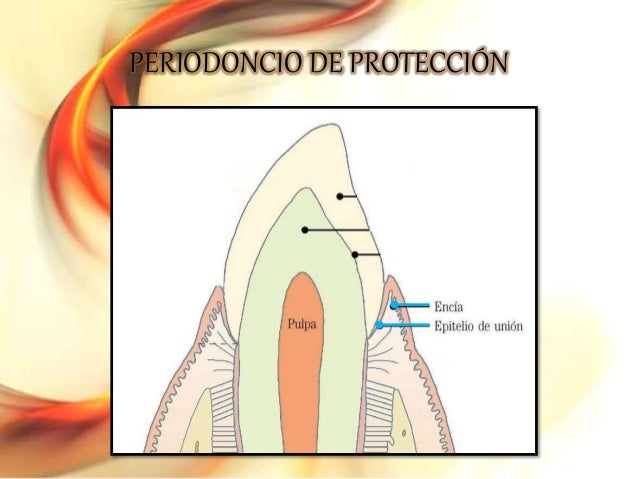 Infodontologia: noviembre 2015