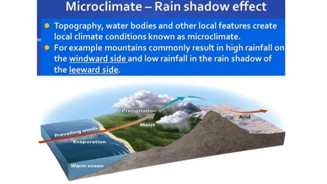 Macro and micro climate | PPT | Free Download