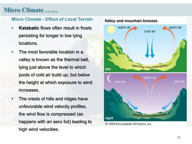 Macro and micro climate