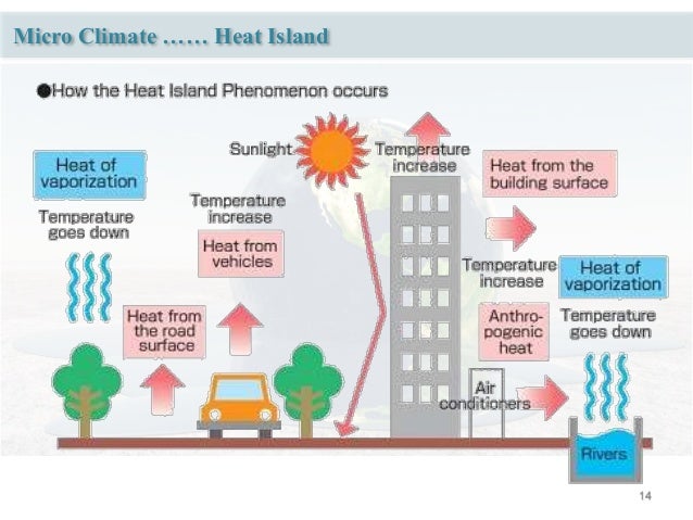Macro and micro climate