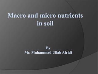 Macro and micro nutrients in soil | PPTX