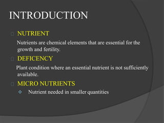Macro and micro nutrients in soil | PPTX