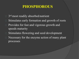 Macro and micro nutrients in soil | PPTX