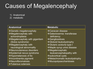 Approach to Macrocephaly / large head, Megalencephaly, Causes(Etiology ...