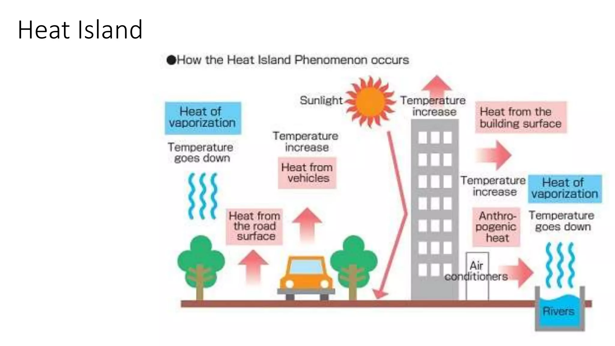 Macroclimate microclimate | PPTX
