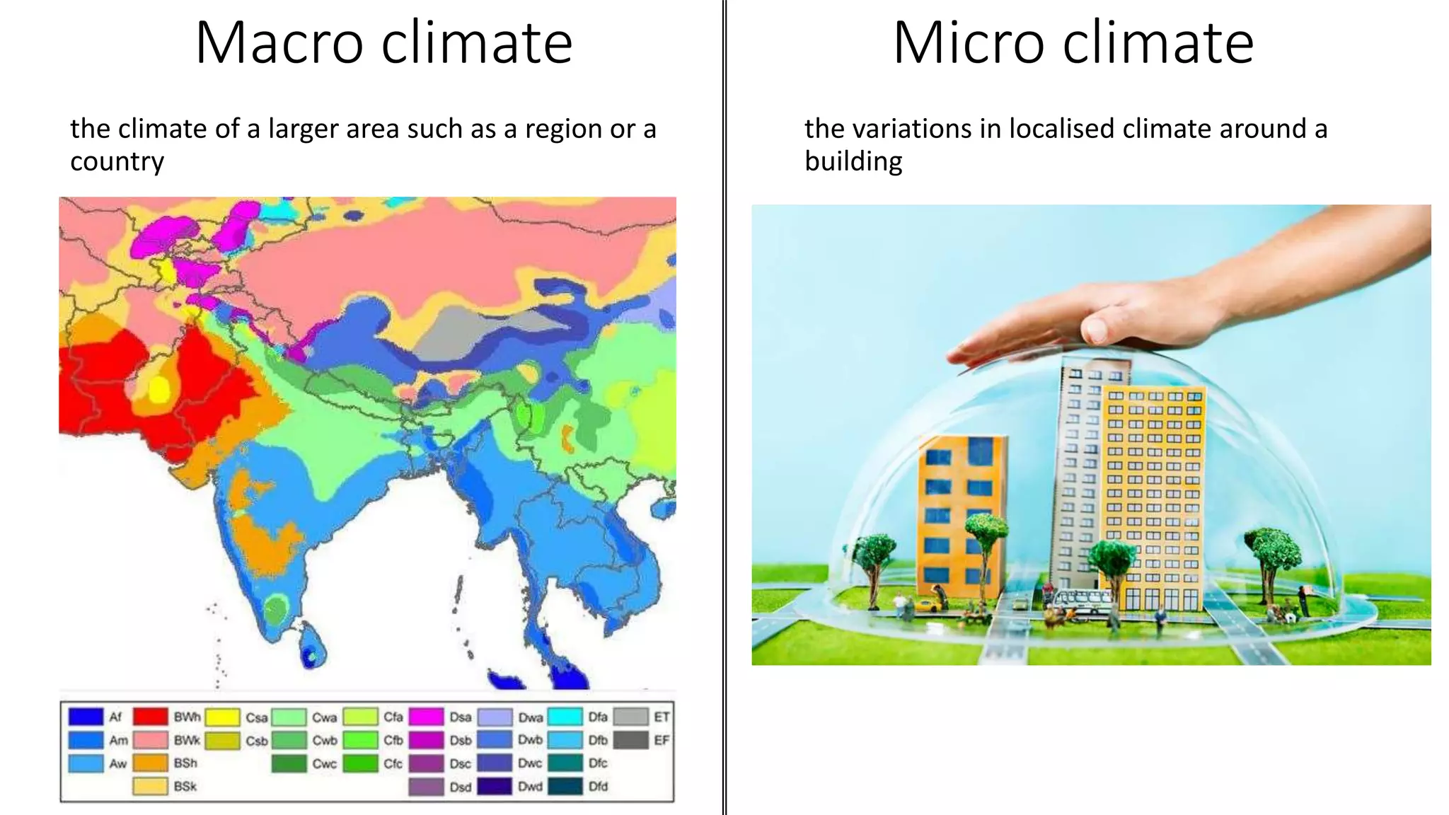 Macroclimate microclimate | PPTX