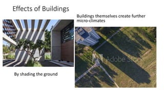 Macroclimate microclimate | PPTX