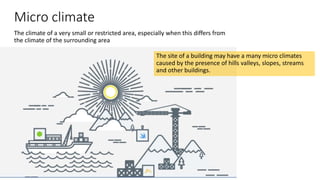 Macroclimate microclimate | PPTX