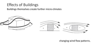 Macroclimate microclimate | PPTX