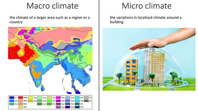 Macroclimate microclimate