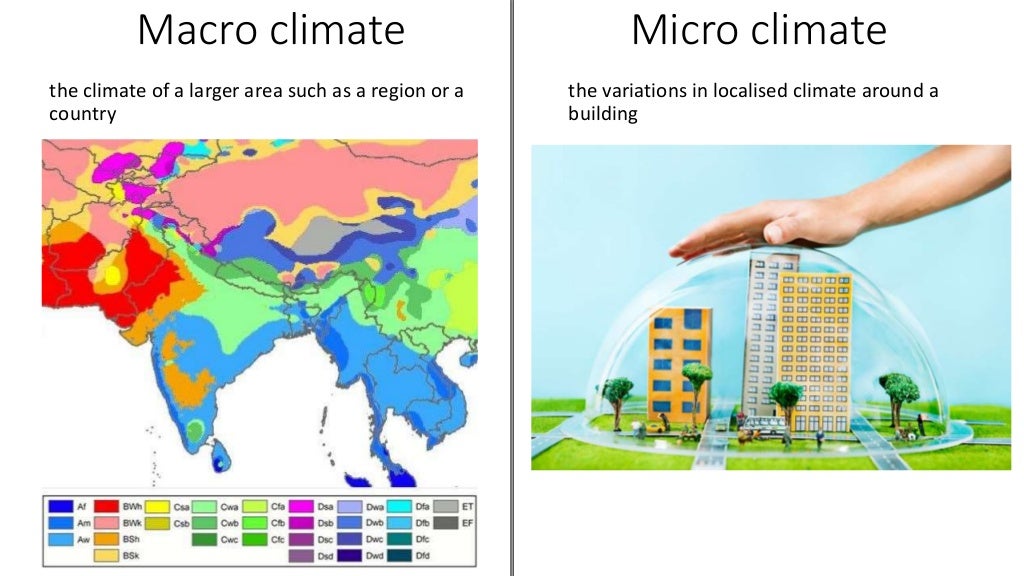 Macroclimate microclimate