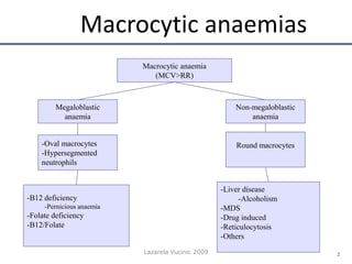 Macrocytic anaemia | PPTX