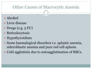 Macrocytic anemia | PPTX