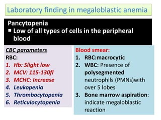 Macrocytic anemia.pdf