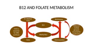 macrocytic anemia megaloblastic and nonmegaloblastic .pptx