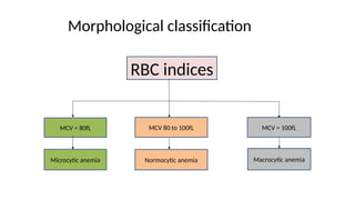 macrocytic anemia megaloblastic non megaloblastic.pptx