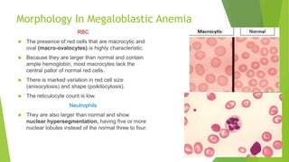 Macrocytic ANmeia.pptx