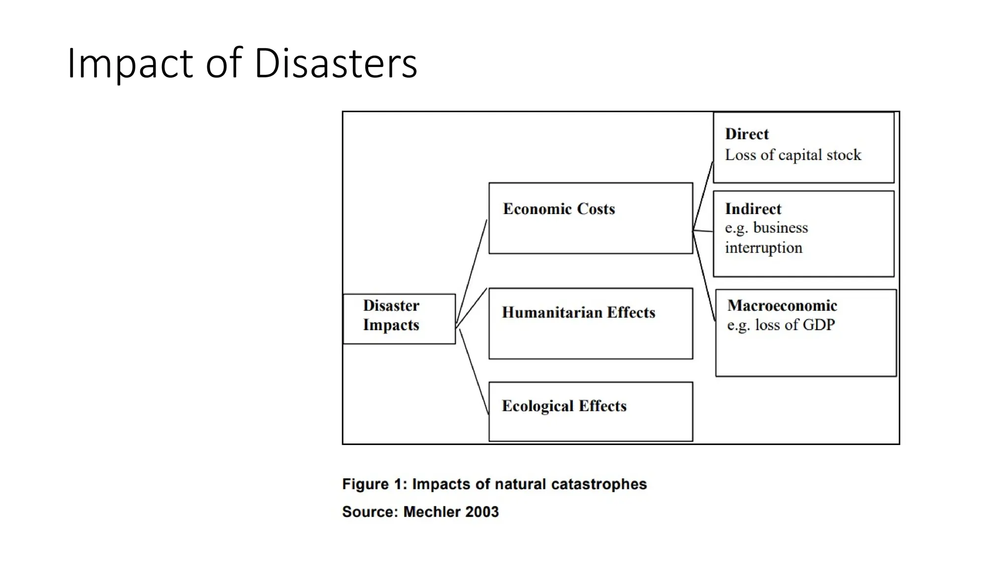 Macroeconomic Impact of Disasters.pptx indonesia | PPTX