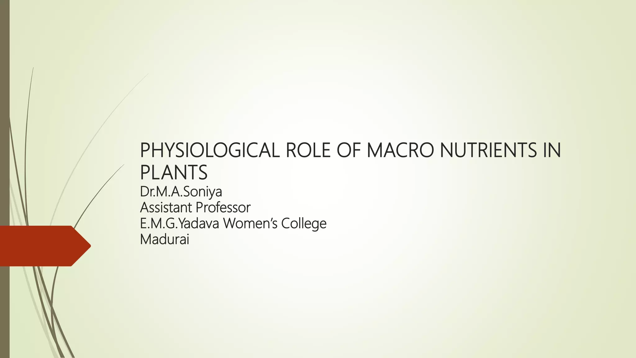 Physiological Role of Macroelements in Plants | PPTX