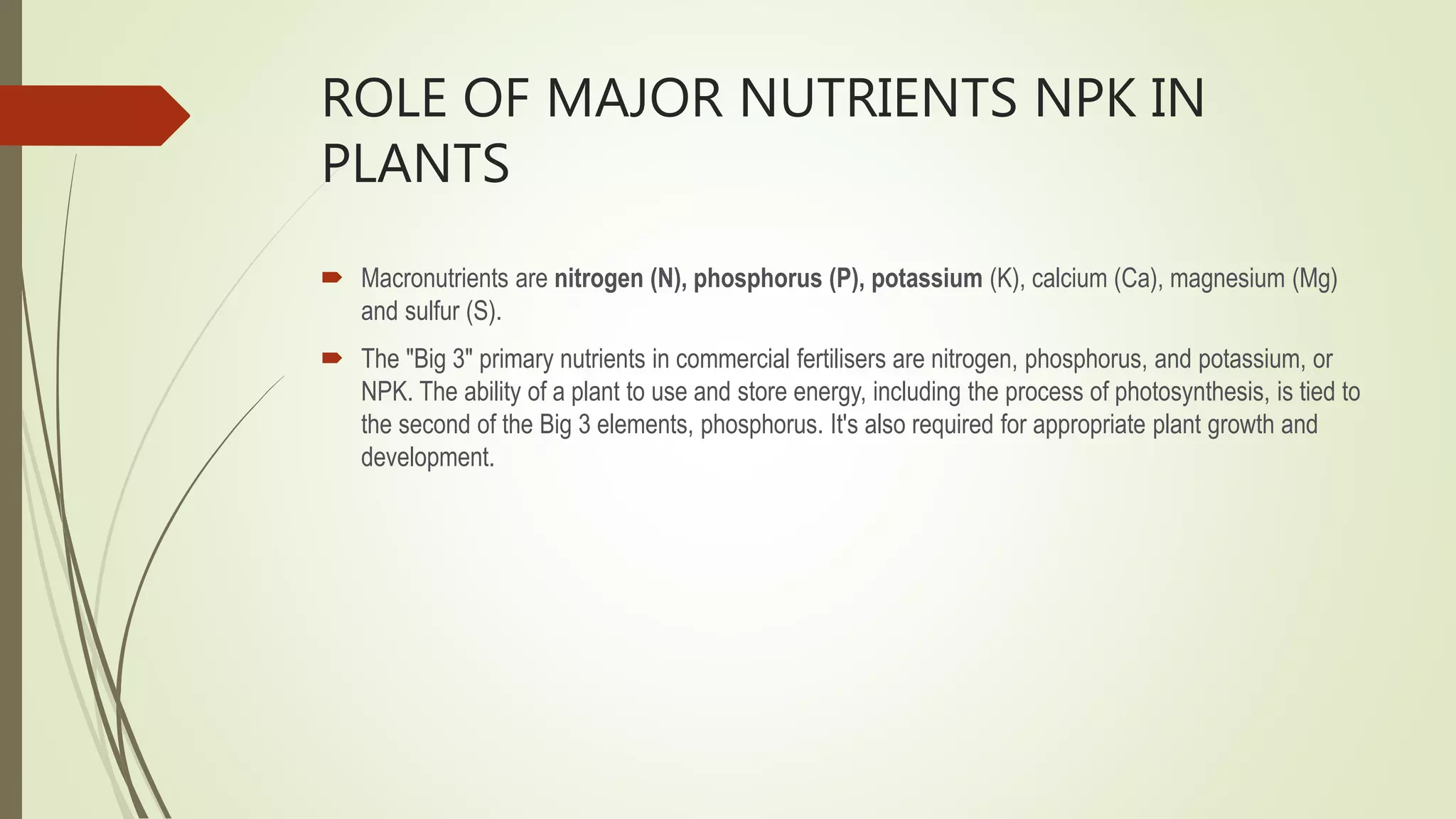Physiological Role of Macroelements in Plants | PPTX