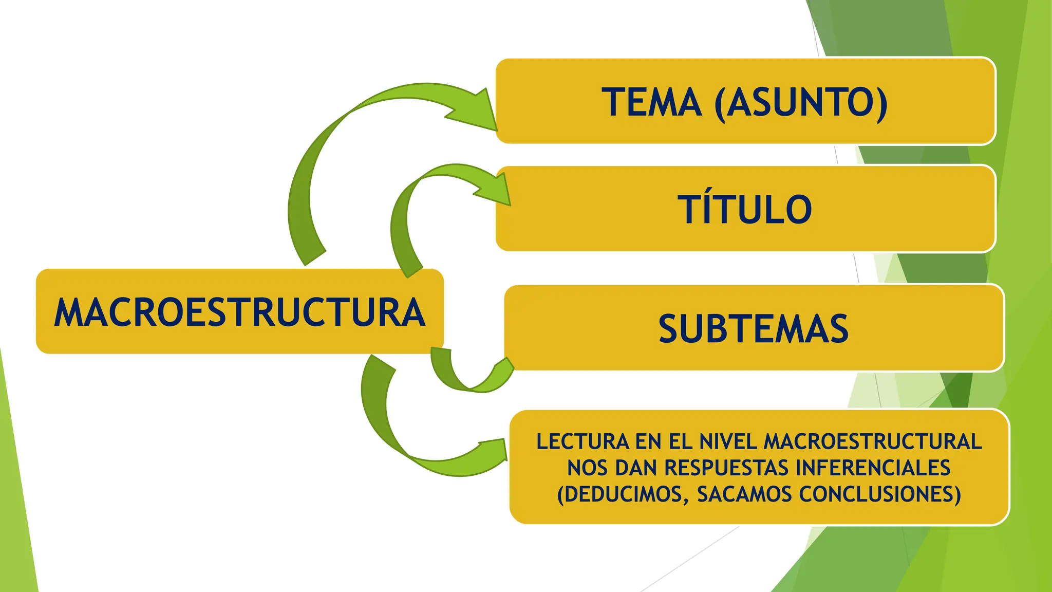 MACROESTRUCTURA DE TEXTOS | PPTX