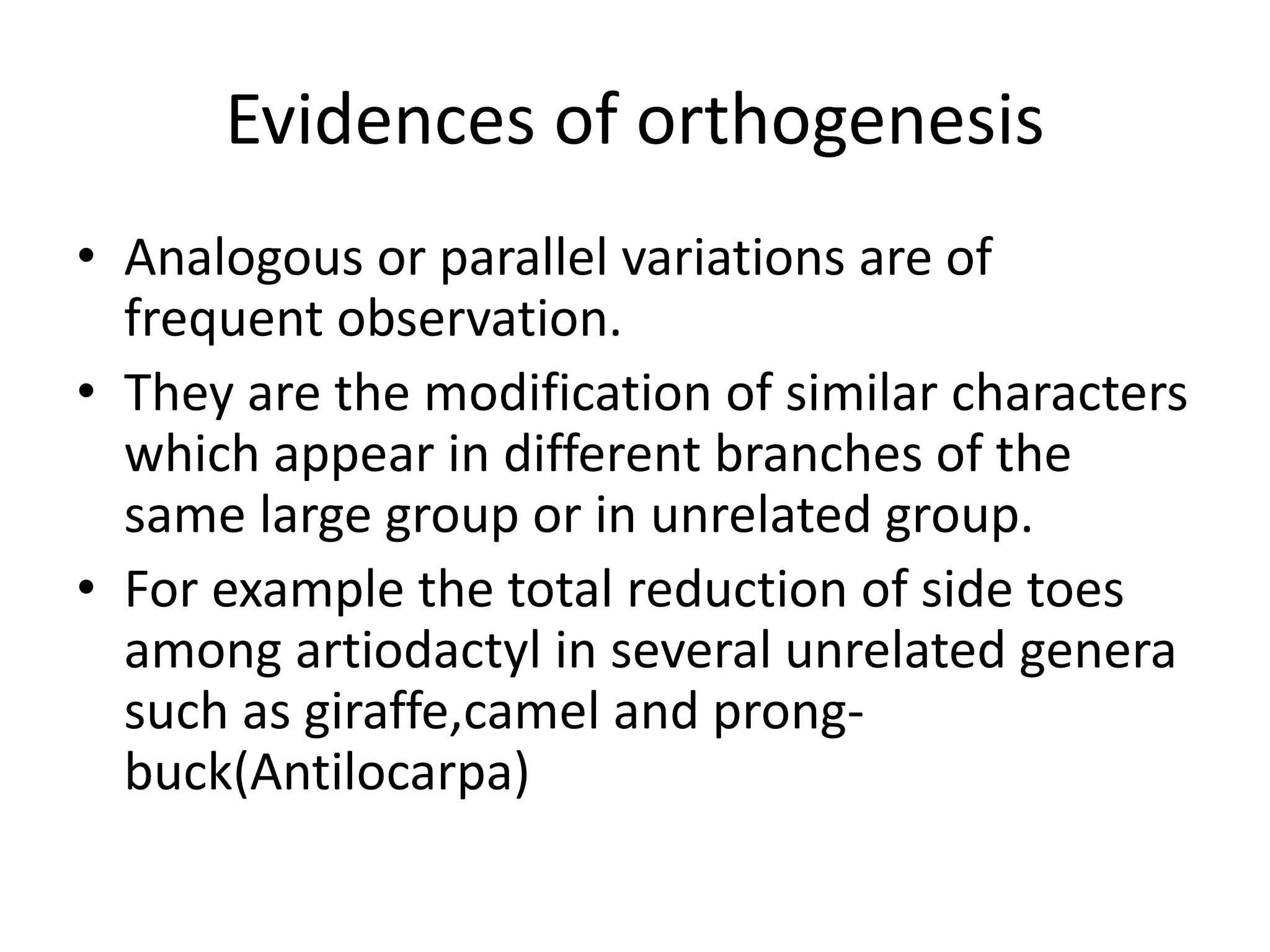 Macroevolution | PPTX
