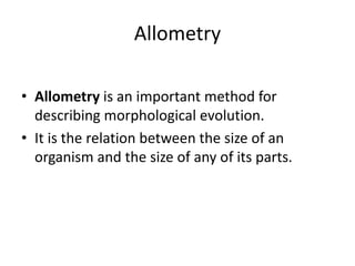 Macroevolution | PPTX