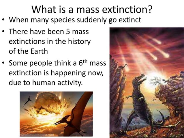 Macroevolution | PPTX | Genetics | Science