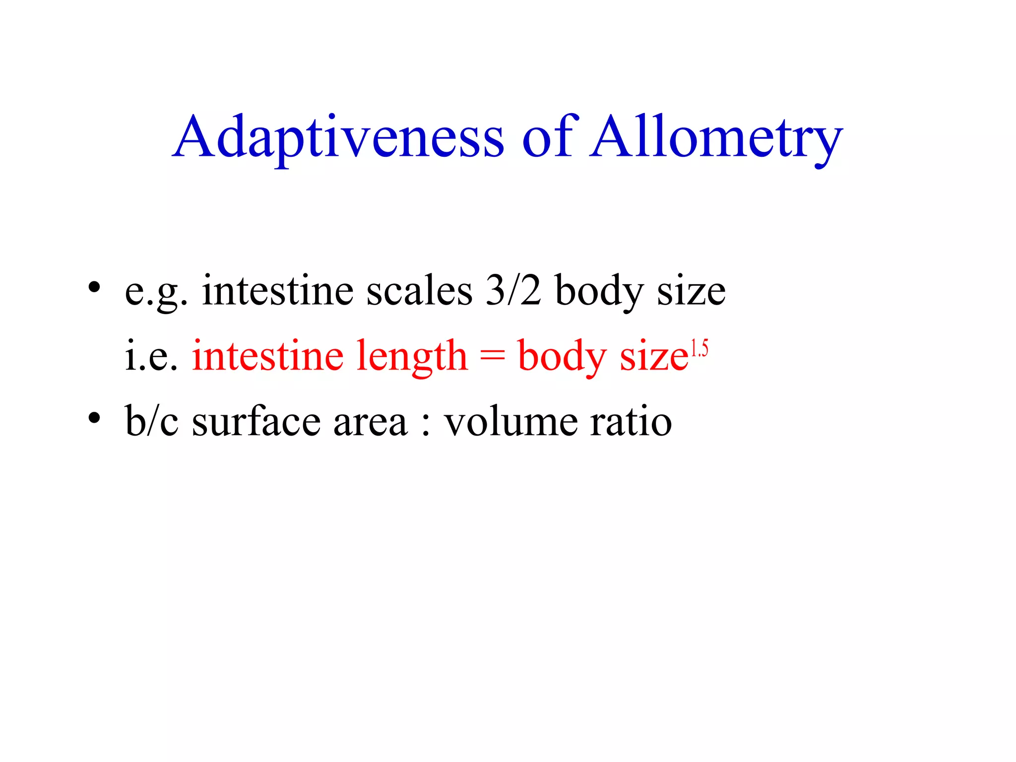 Lecture 20: Morphological Changes in Macroevolution | PPT
