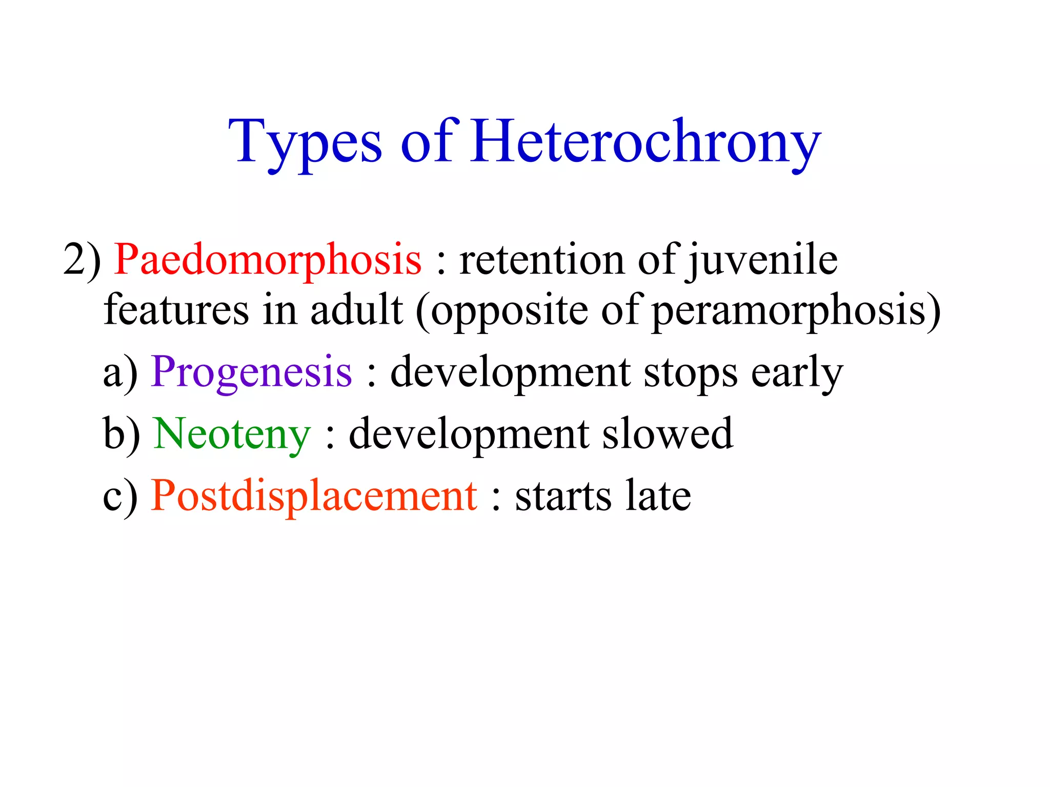 Lecture 20: Morphological Changes in Macroevolution | PPT