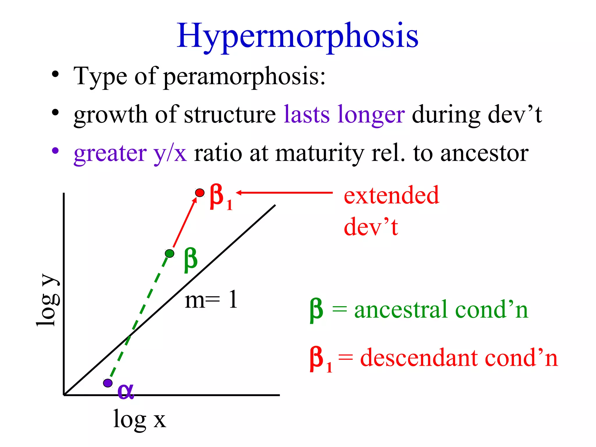 Lecture 20: Morphological Changes in Macroevolution | PPT