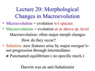 Lecture 20: Morphological Changes in Macroevolution | PPT