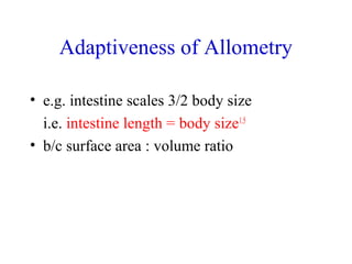 Lecture 20: Morphological Changes in Macroevolution | PPT