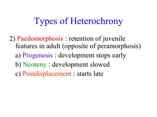 Lecture 20: Morphological Changes in Macroevolution | PPT
