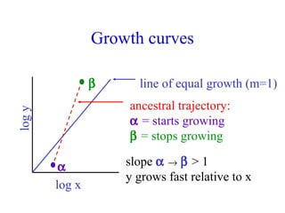 Lecture 20: Morphological Changes in Macroevolution | PPT